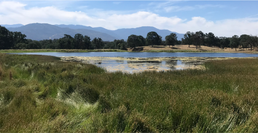 SCICON Field Station